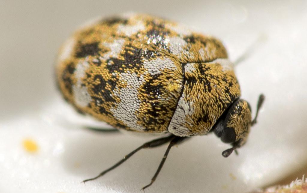 5 Smart Steps for Strategic Customer Journey Mapping - BIZFINA